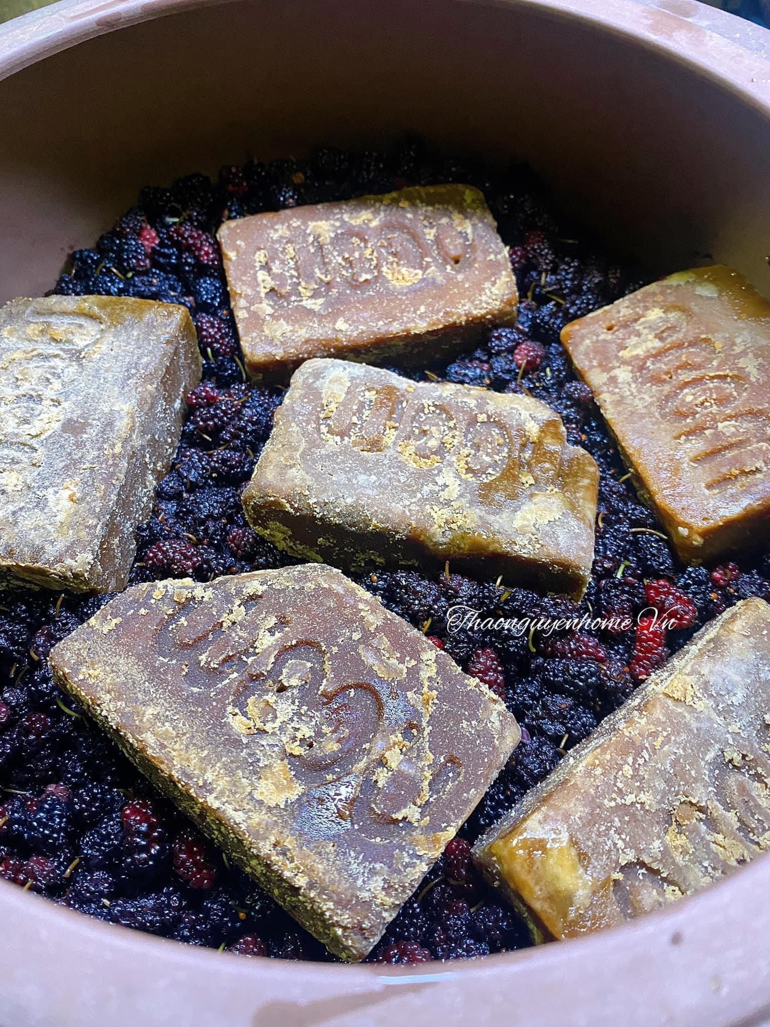 Cao dâu tằm bổ máu – thaonguyenhome