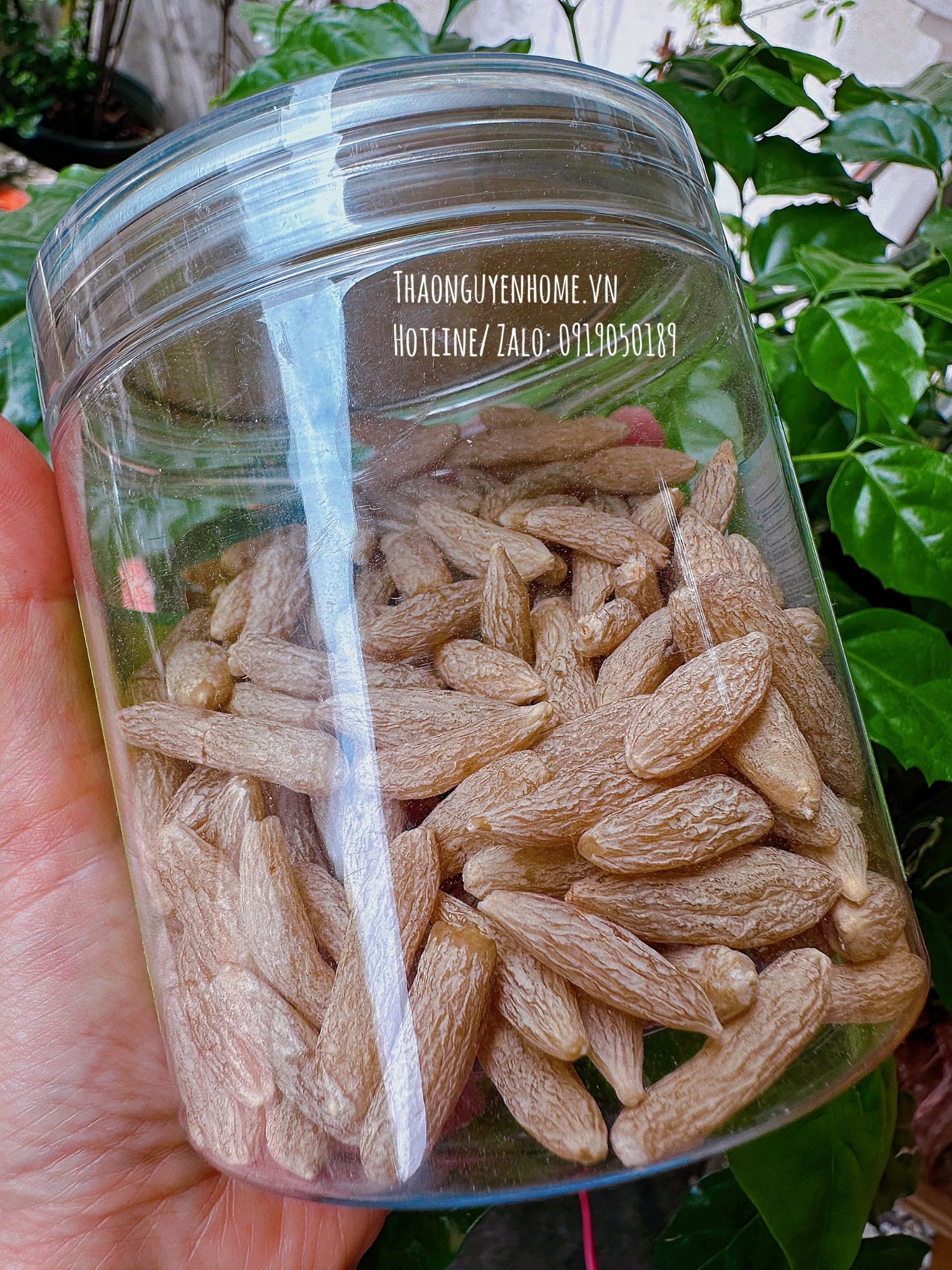 Mạch môn đông 150gram – thaonguyenhome