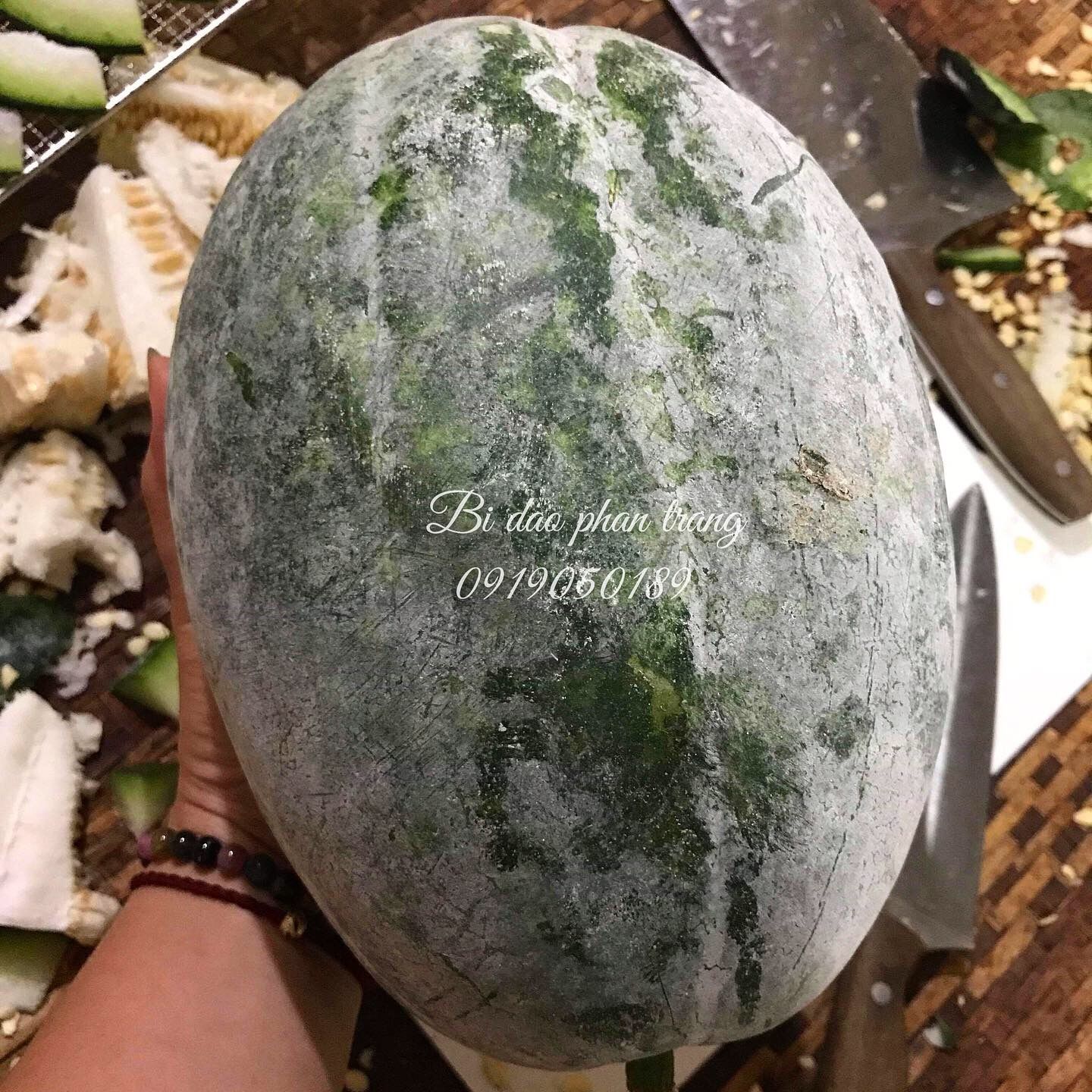 Trà bí đao phấn trắng thanh nhiệt tiêu đờm – thaonguyenhome