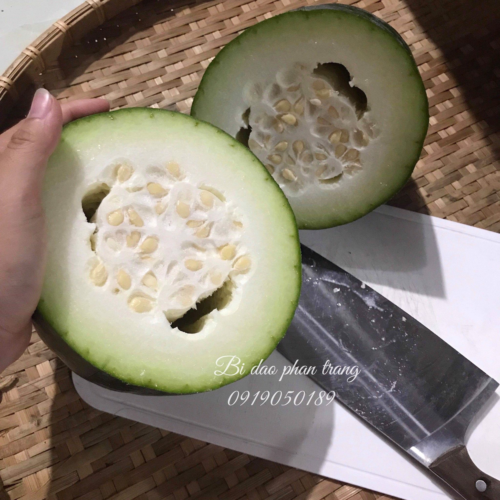 Trà bí đao phấn trắng thanh nhiệt tiêu đờm – thaonguyenhome