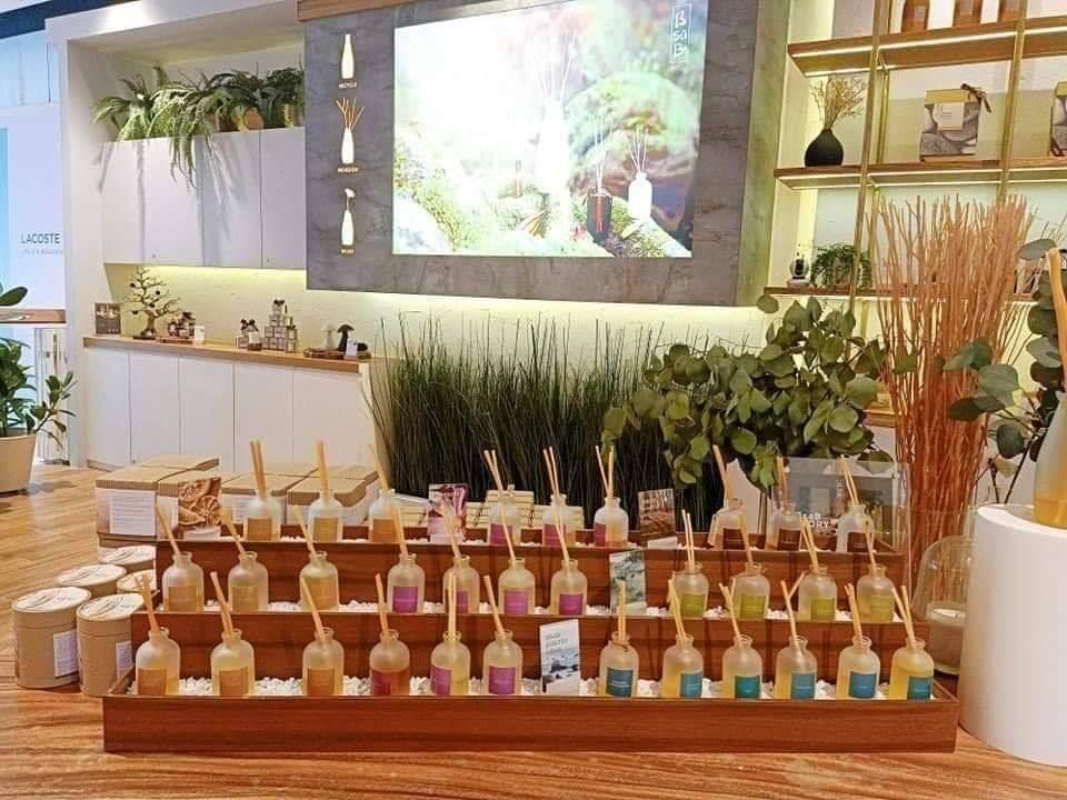 Lọ khuếch tán tinh dầu Weed Diffuser 100ml – TIẾN THÀNH BEAUTY