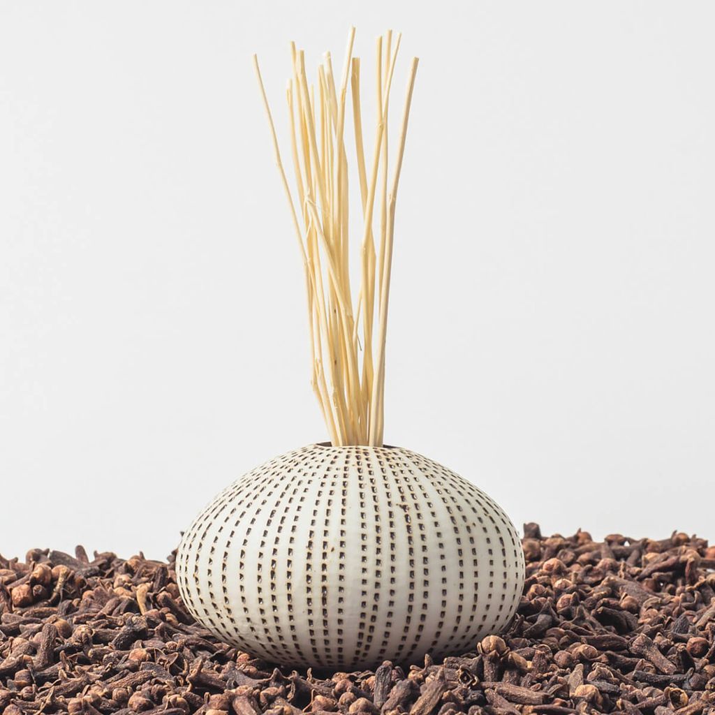 Lọ gốm sứ khuyếch tán tinh dầu Bsab Ceramic Diffuser Line Dot 100ml ...