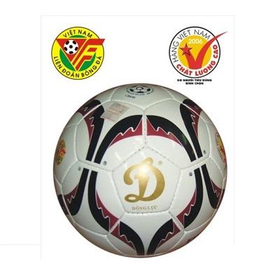 Bóng đá số 5 – VINA EEC