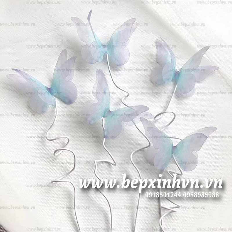 Ghim trang trí bướm xinh (set 5) – bepxinhvn