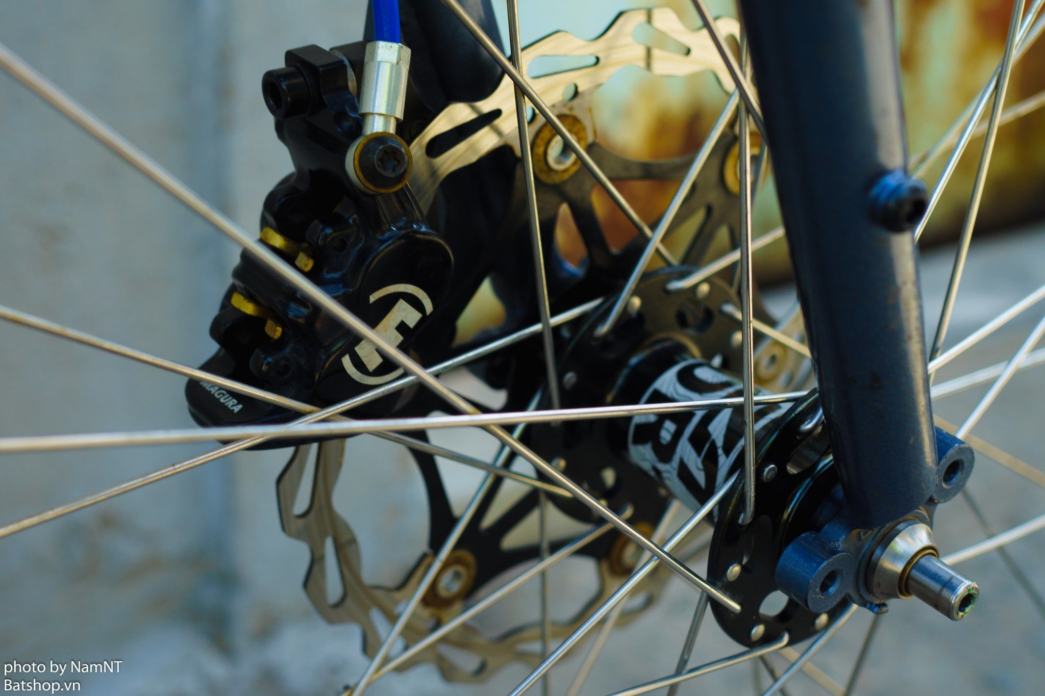 Xe đạp LKLM Muskeeter Single Speed – B.A.T Shop - Bike and Travel