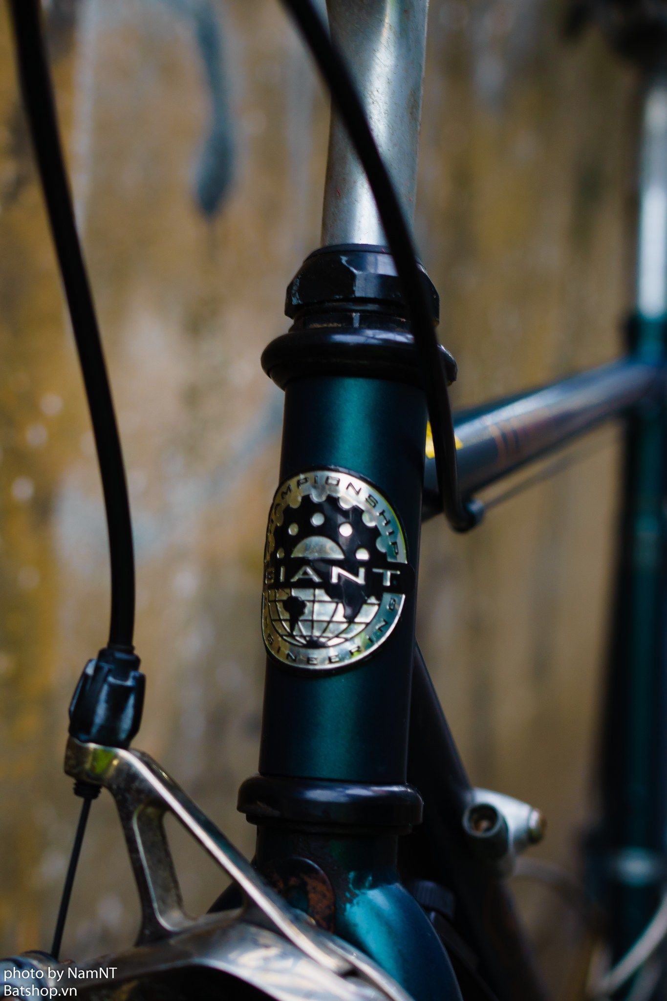 Xe đạp Road Giant Kronos – B.A.T Shop - Bike and Travel