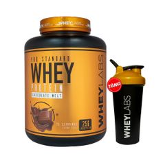 Sữa Whey Protein Chất Lượng Cao Giúp Tăng Cơ Hiệu Quả Cho Gymer