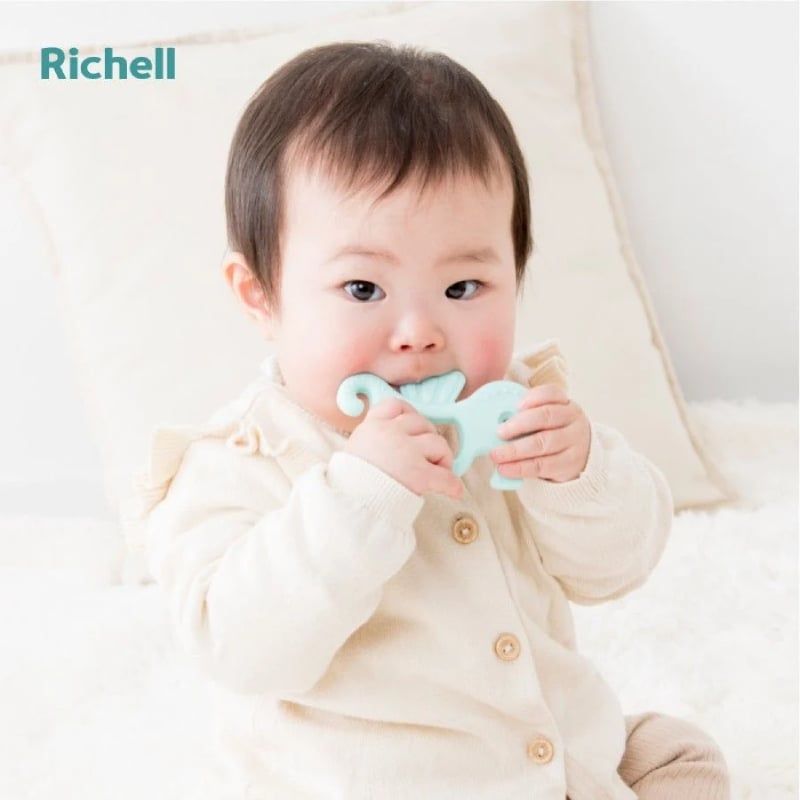 Xúc xắc gặm nướu ốc sên Richell| snbshop.vn – Soc&Brothers