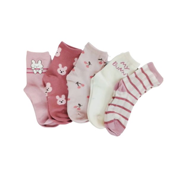 Tất set 5 nhiều màu| snbshop.vn – Soc&Brothers