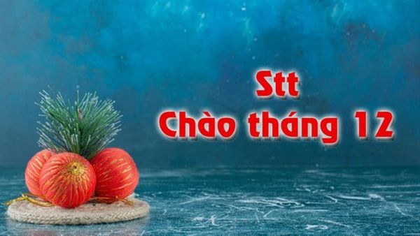 Stt chào tháng 12 và câu nói hay về tháng 12 ý nghĩa nhất 2021