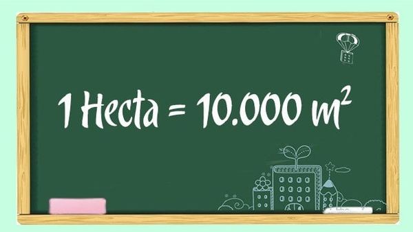 1 hecta bằng bao nhiêu m2, km2, cm2, sào? Đổi 1 ha = mét vuông