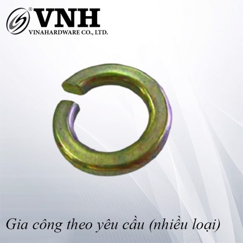 Các loại long đền