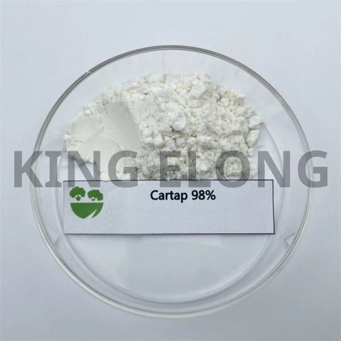 King Elong Việt Nam – Kingelong Việt Nam