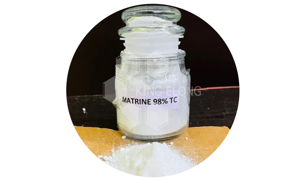 MATRINE – Kingelong Việt Nam
