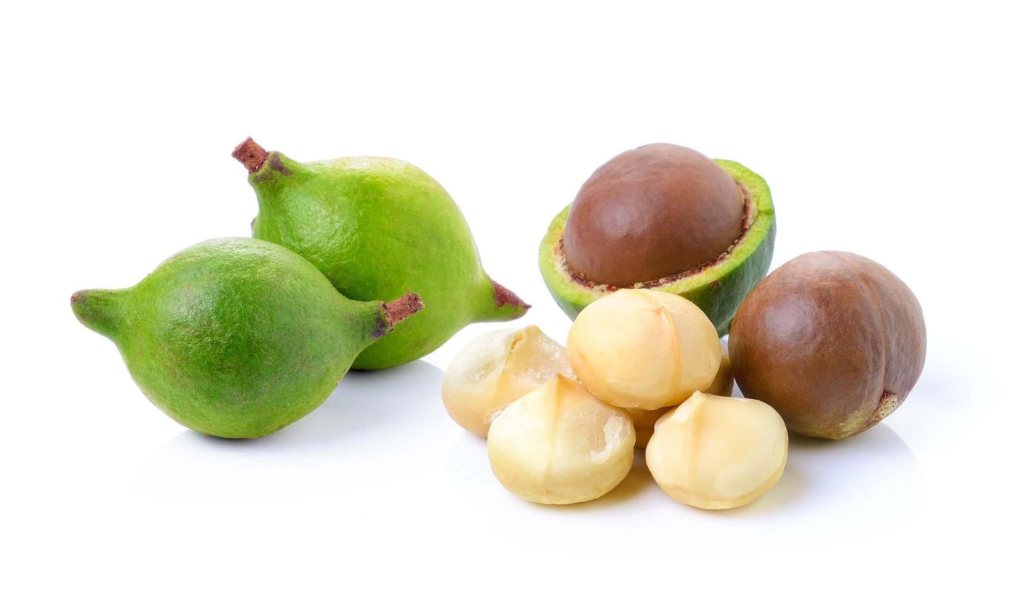 Macadamia Nguyên Vỏ 450g - Macadamia In Shell 450g