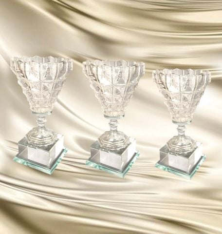 Cup Phale_6canhlaHH – trophy
