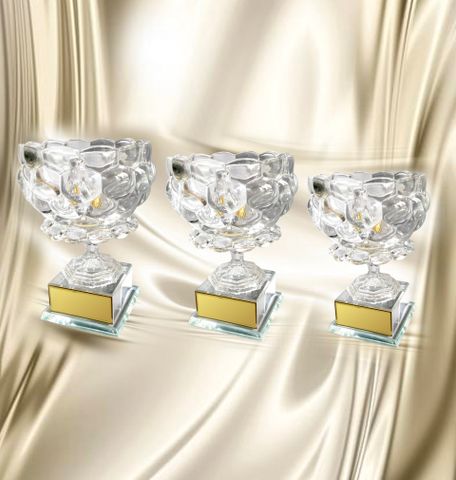 Cup Phale_6canhlaHH – trophy