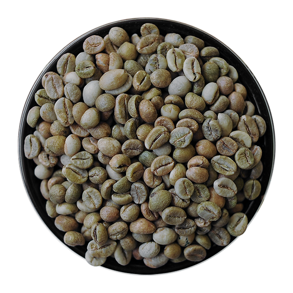 ROBUSTA CLEAN – Coffee Concept Co., Ltd