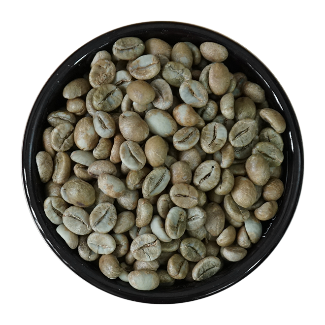 Cà Phê Nhân Robusta Sơ Chế Khô 98% Chín Chất Lượng Cao – Coffee Concept ...