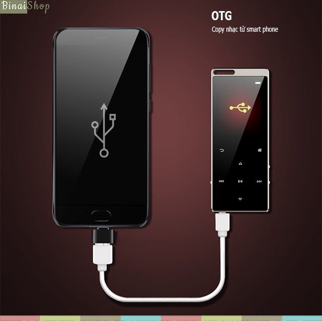 Ruizu D15 - Máy nghe nhạc Hifi 2019 (8Gb - Bluetooth) – BINAI