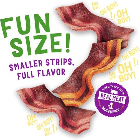 Purina Beggin' Fun Size Original Bacon – Pet Things