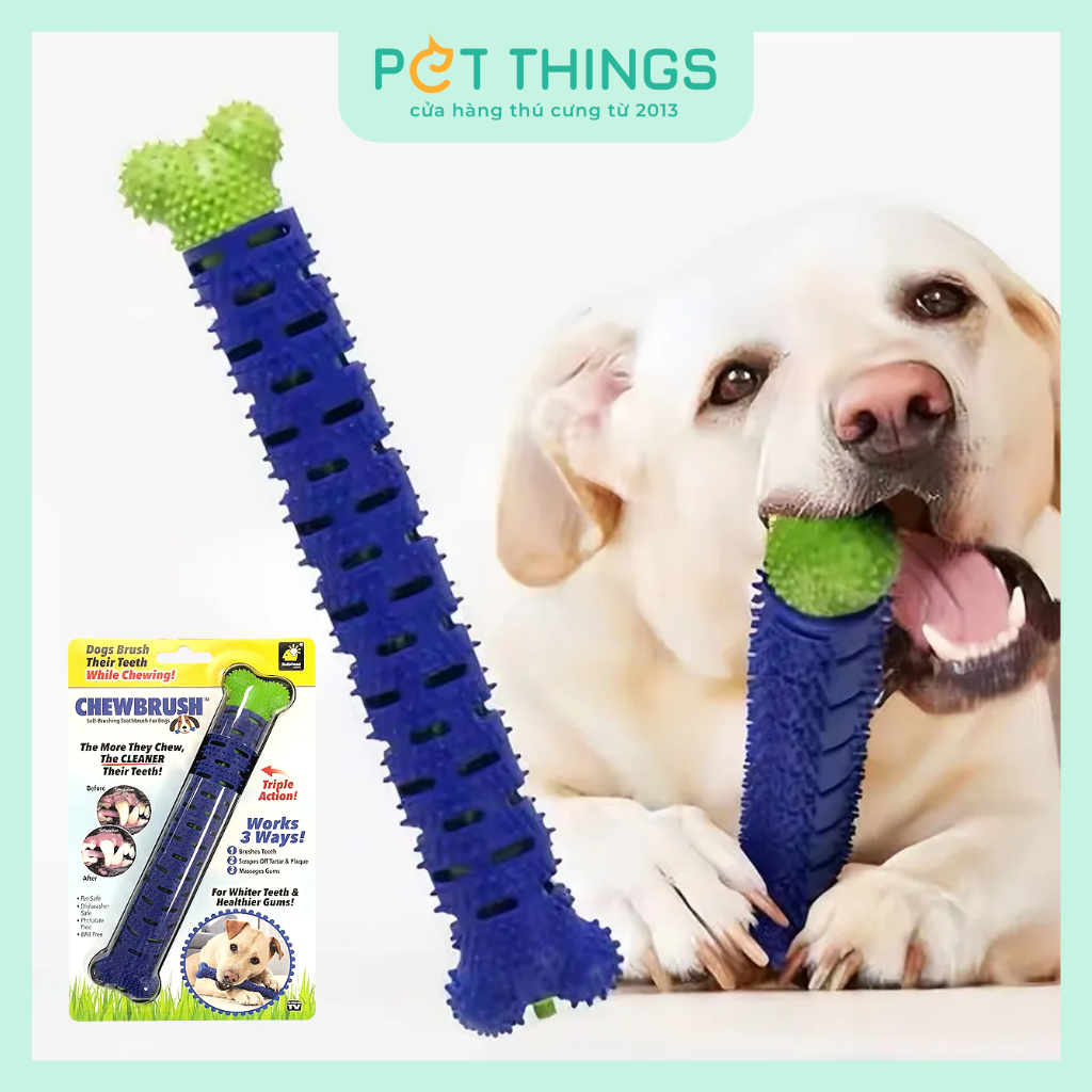 Dog Chew Brush – Pet Things