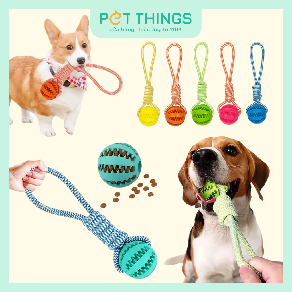 Đồ Chơi Banh Cao Su Hawoo Kẹp Snack + Dây Cho Chó – Pet Things
