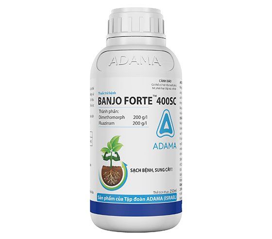 Thuốc Trừ Bệnh BANJO FORTE™️ 400SC Adama - Xem công dụng, quy cách và ...
