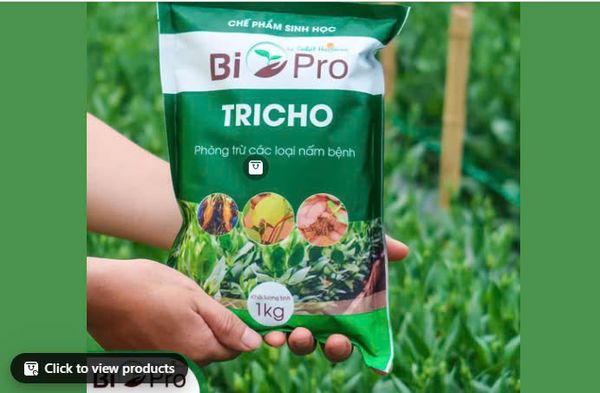 BIO-PRO TRICHO - Kiểm soát và ngăn ngừa các loại nấm bệnh gây hại cho ...