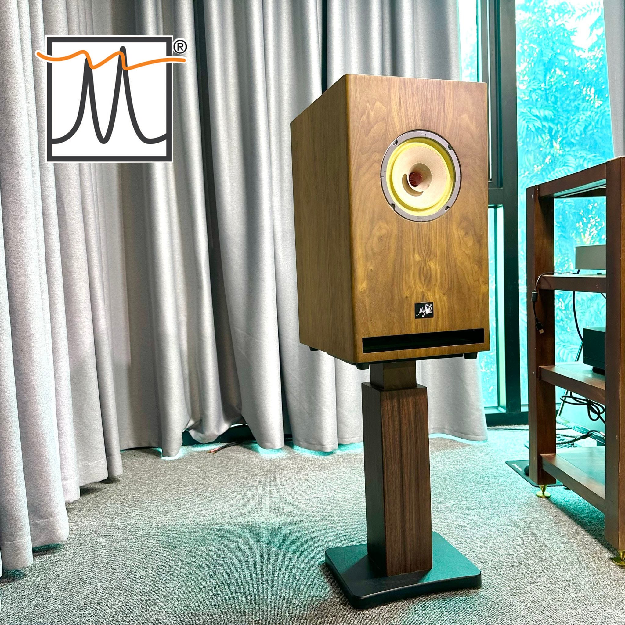 Loa toàn dải 16cm Lii Audio Fast-6 – Audible Hertz Shop