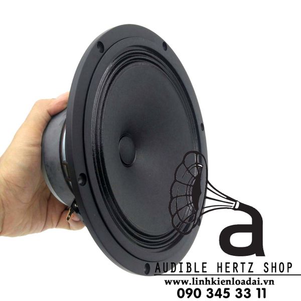 Loa toàn dải 20cm Visaton B 200 – Audible Hertz Shop