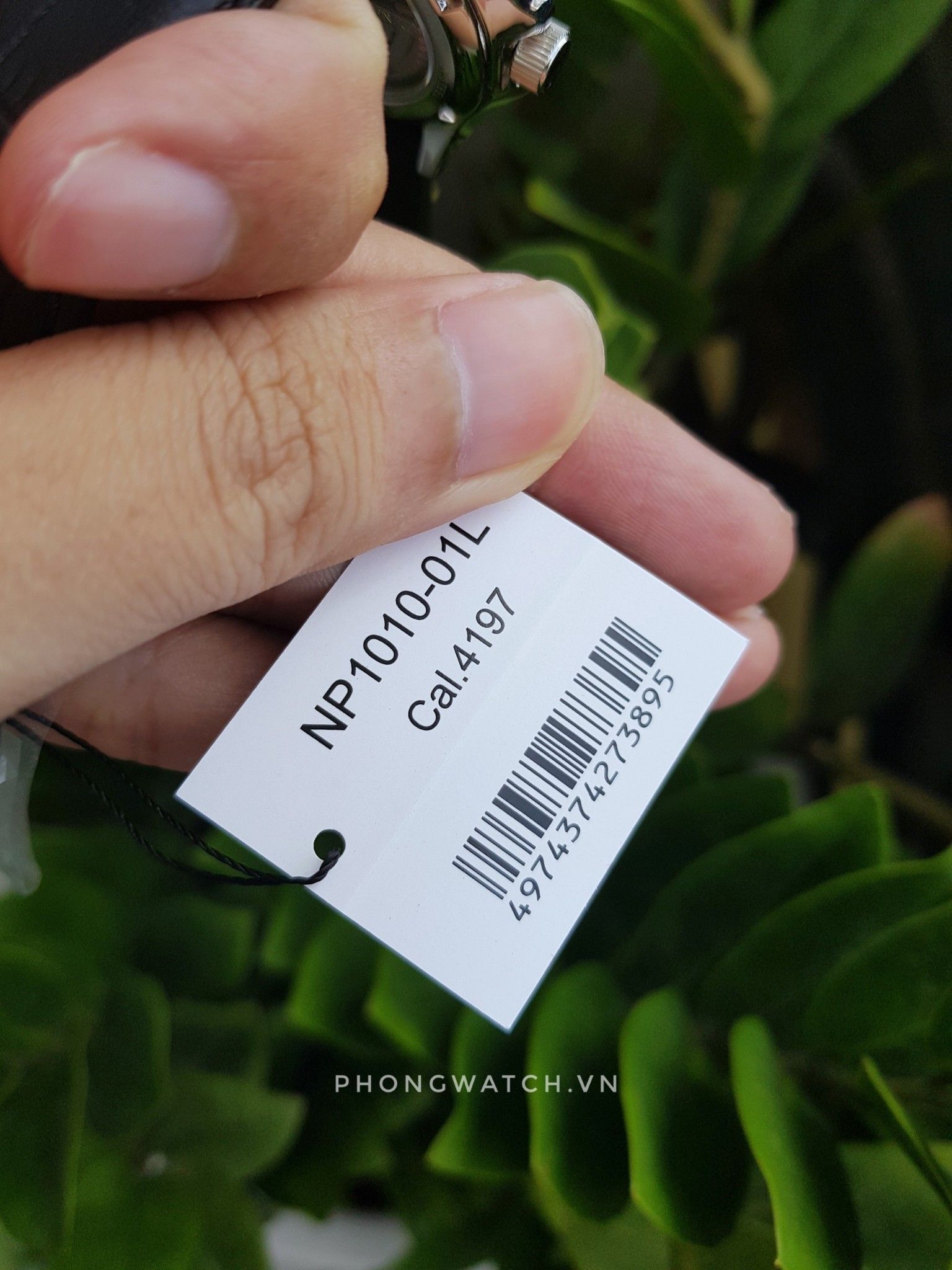 Citizen Automatic NP1010-01L – PhongWatch