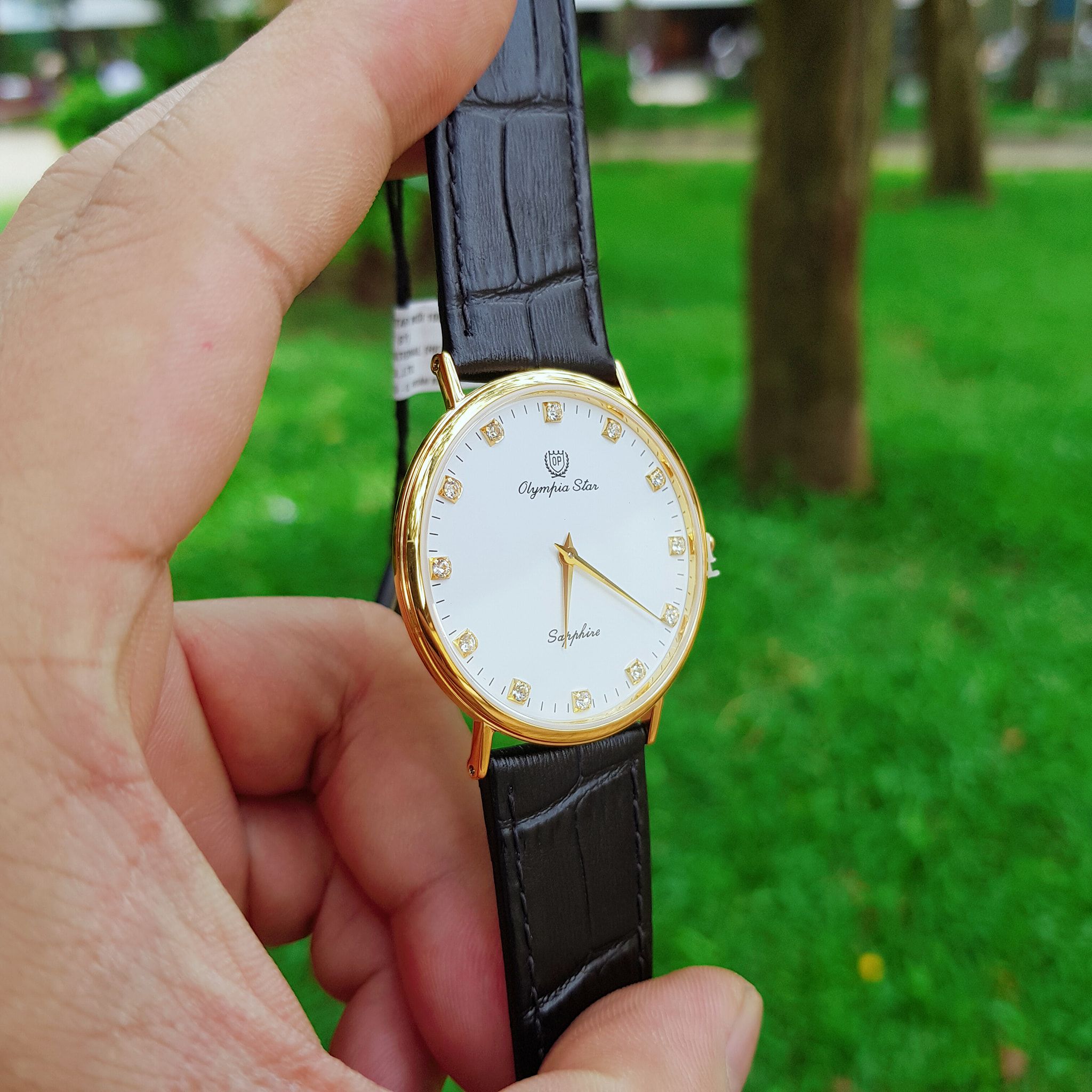 Olympia Star OPA58082MK-GL-T - Đồng Hồ Nam – PhongWatch