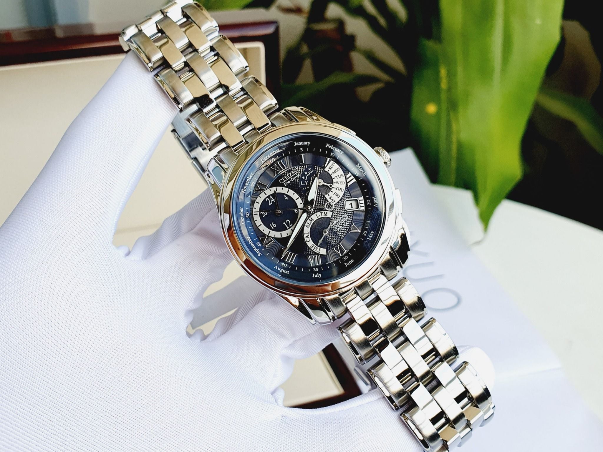 Citizen Eco-Drive BL8000-54L - Đồng Hồ Nam - Chính Hãng Giá Tốt ...