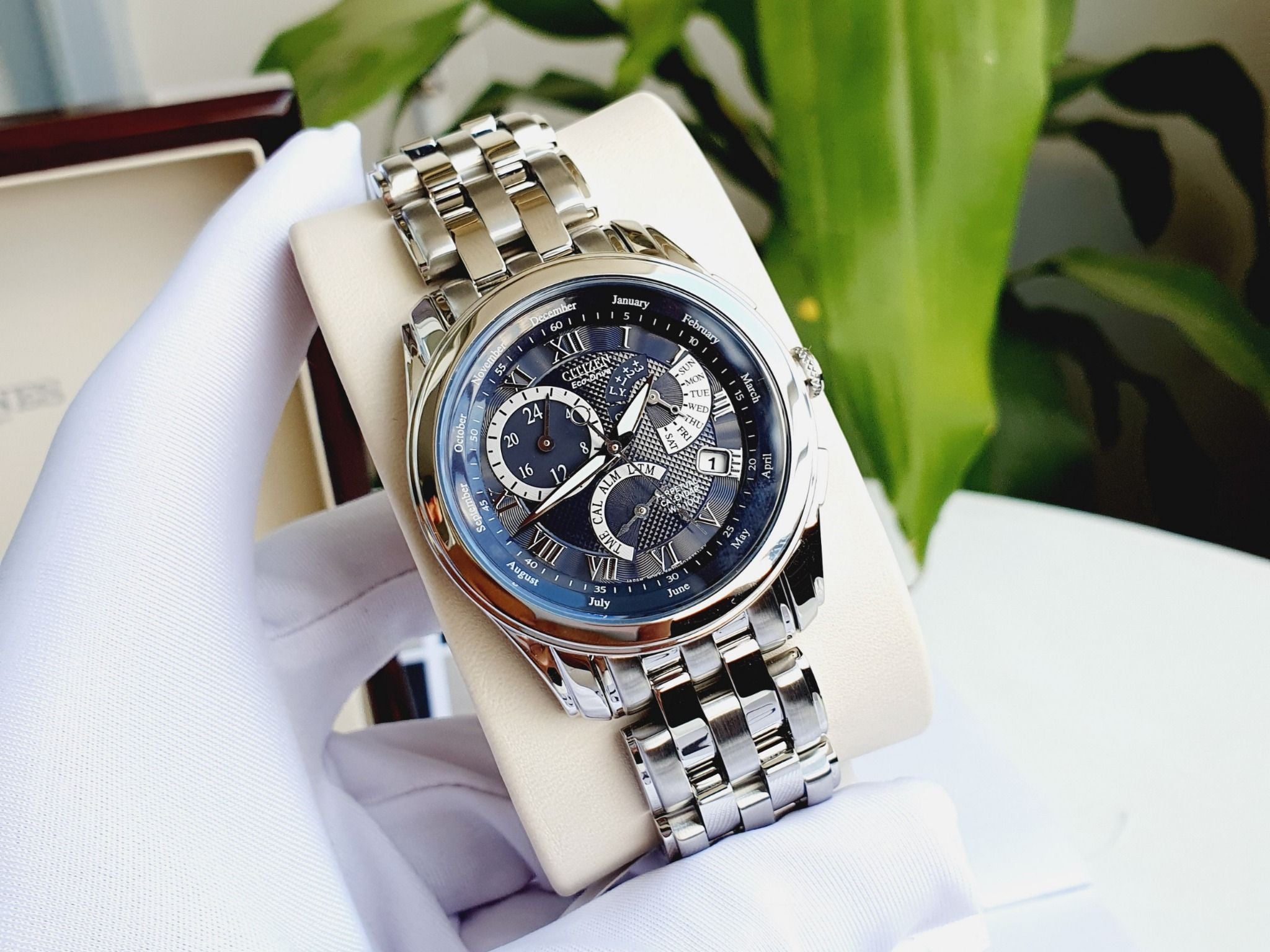 Citizen Eco-Drive BL8000-54L - Đồng Hồ Nam - Chính Hãng Giá Tốt ...