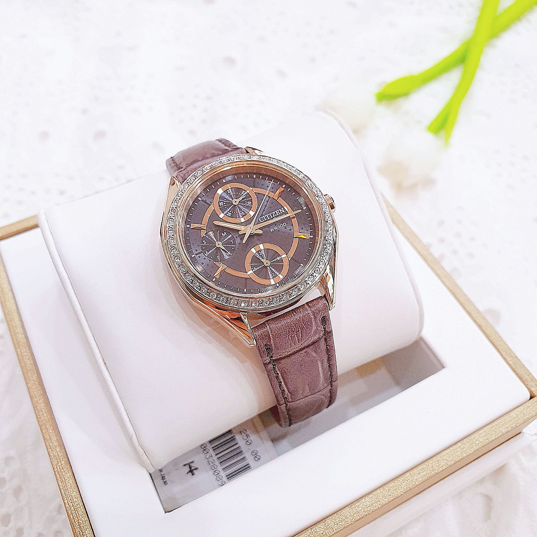 Citizen Eco-Drive FD1063-06H - Đồng Hồ Nữ – PhongWatch