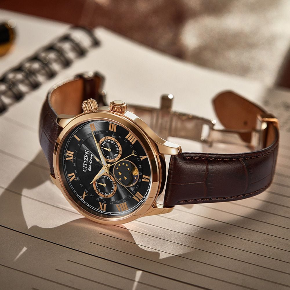 Citizen Eco-Drive AP1059-19E - Đồng Hồ Nam - Chính Hãng Giá Tốt ...