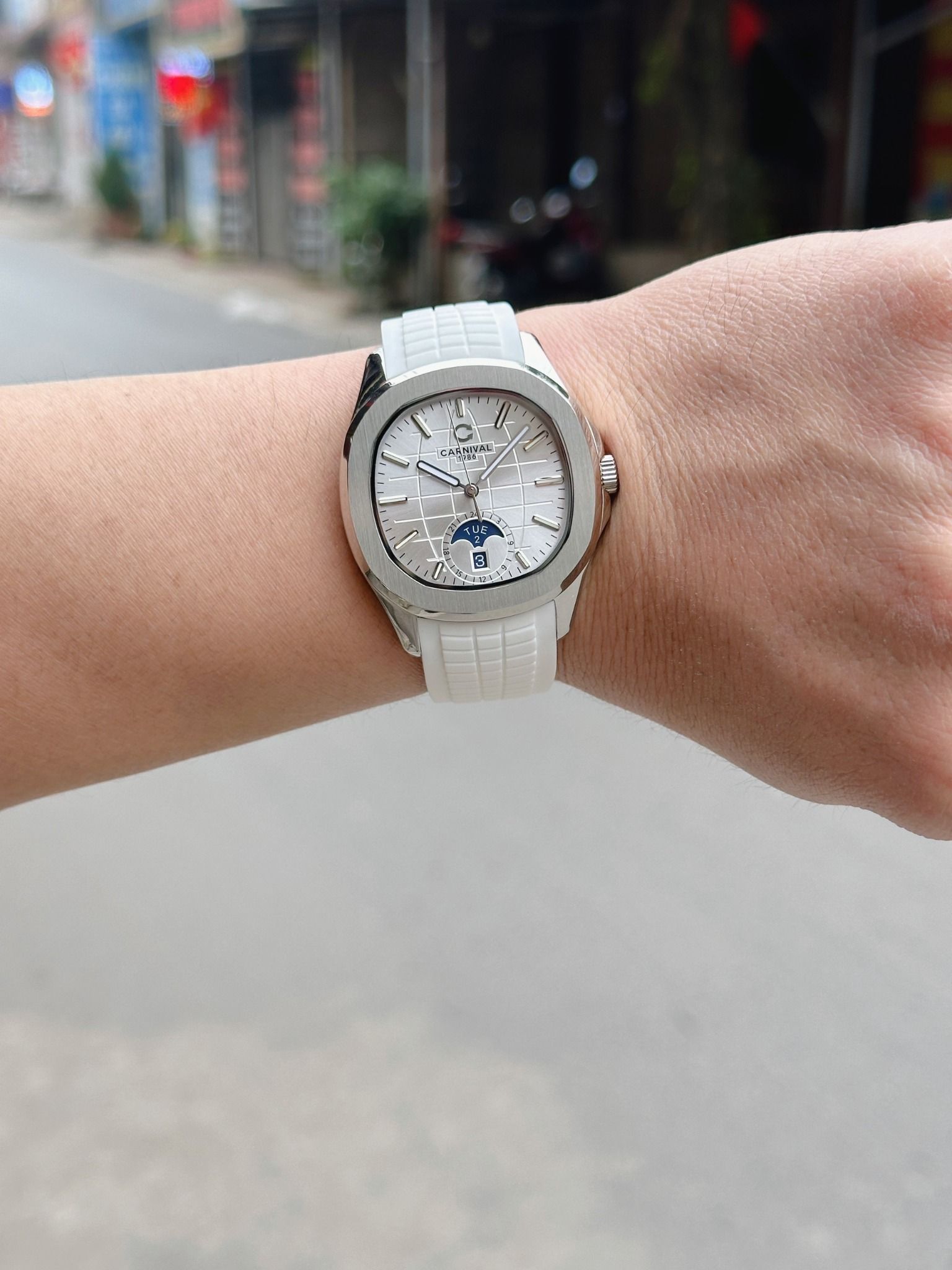 Carnival Aquanus 8113G-VT-DCS-T1 ( 8113G ) - Đồng Hồ Nam – PhongWatch