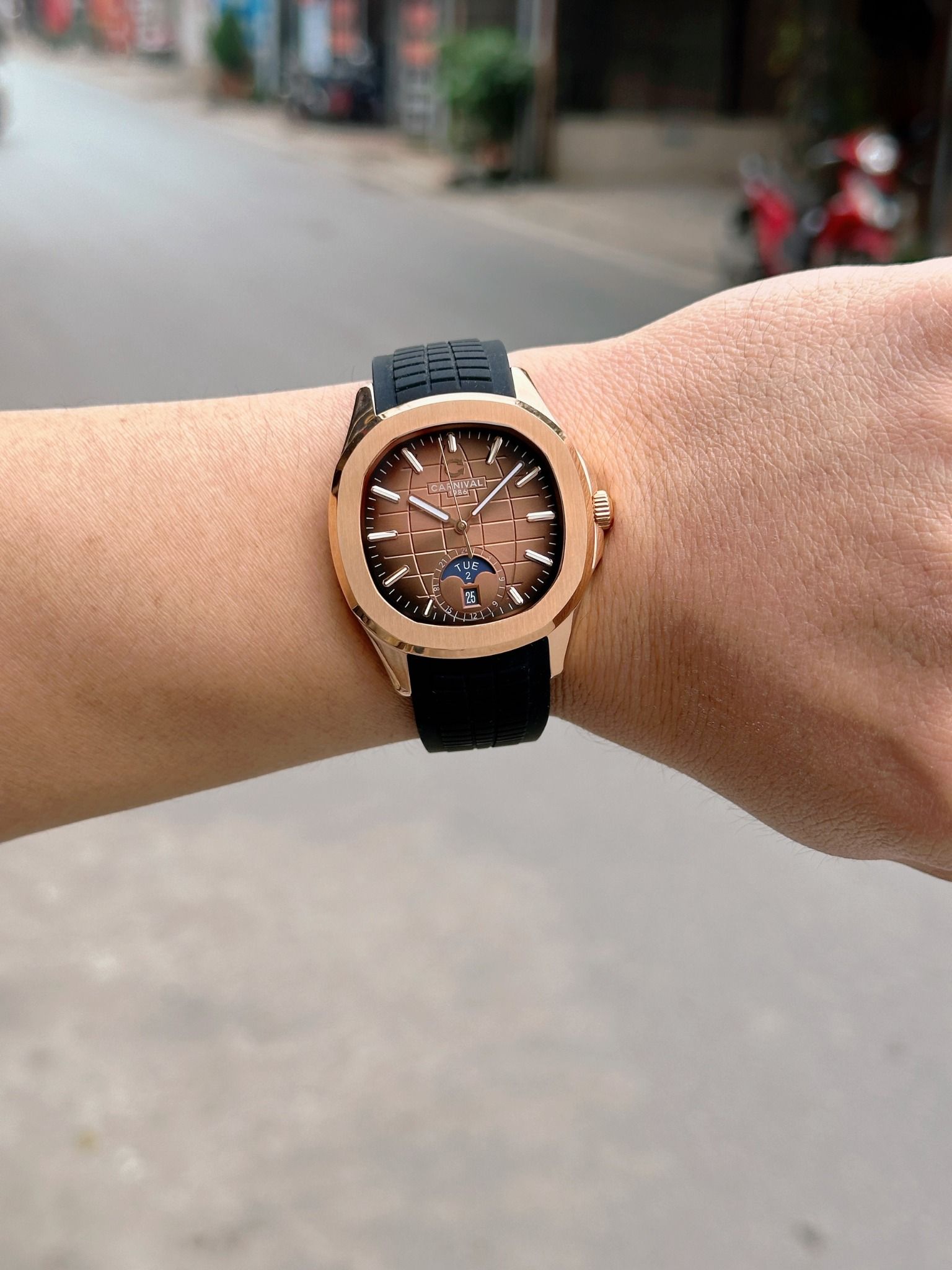Carnival Aquanus 8113G-VH-DCS-N ( 8113G ) - Đồng Hồ Nam – PhongWatch