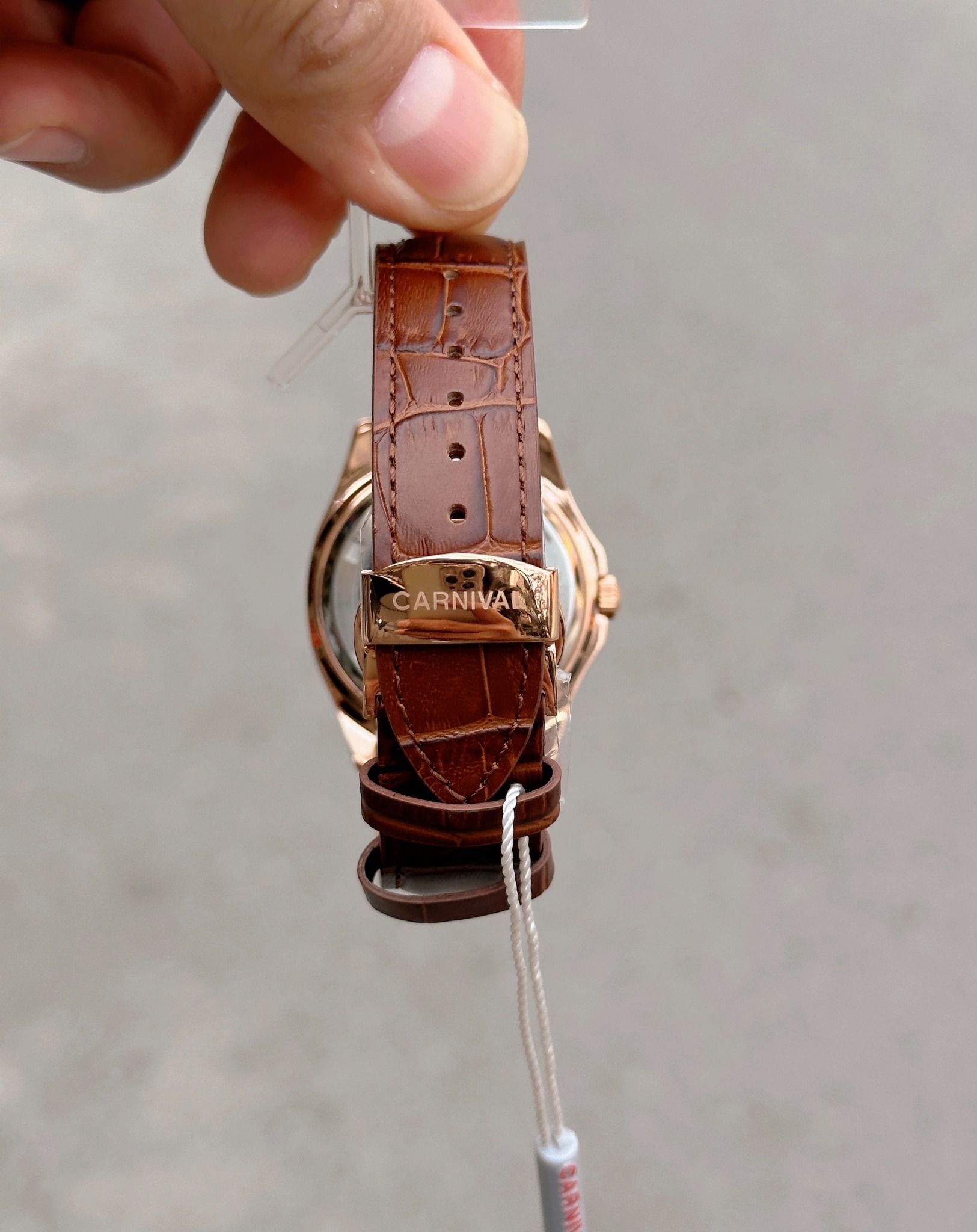 Carnival Aquanus 8113G-VH-DD-N ( 8113G ) - Đồng Hồ Nam – PhongWatch