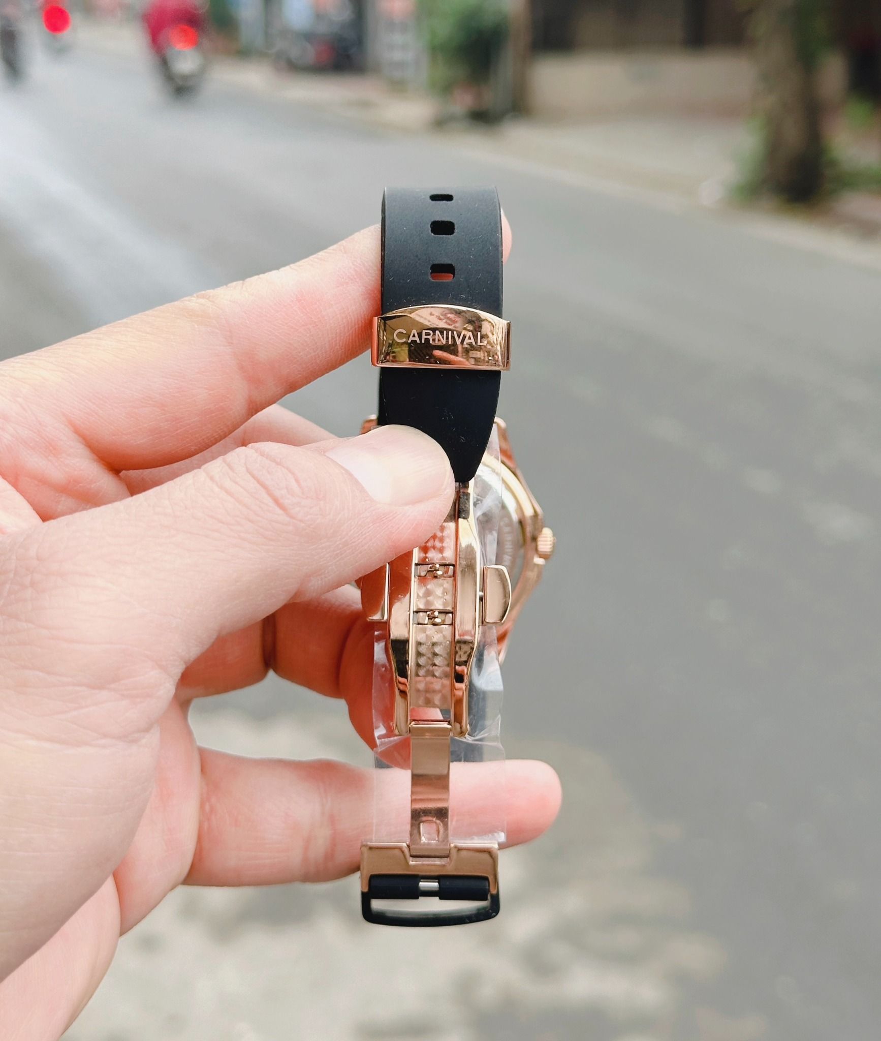 Carnival Aquanus 8113G-VH-DCS-D ( 8113G ) - Đồng Hồ Nam – PhongWatch