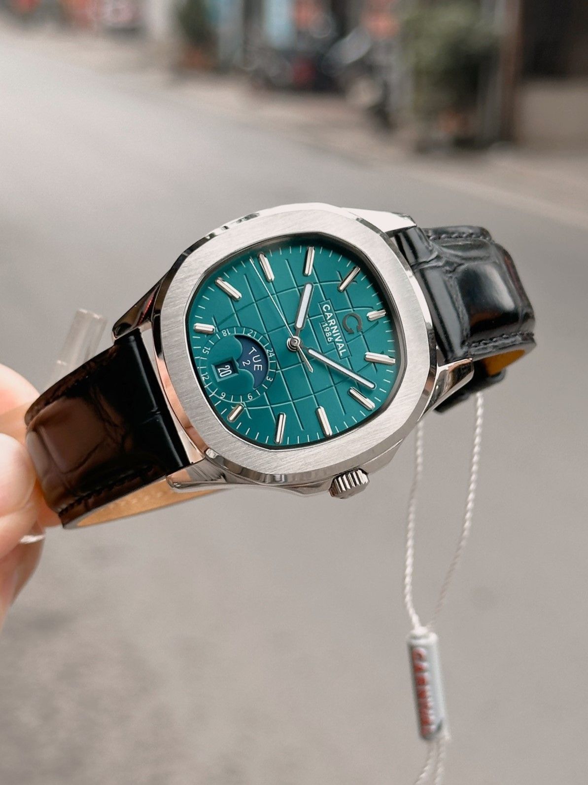 Carnival Aquanus 8113G-VT-DD-XL ( 8113G ) - Đồng Hồ Nam – PhongWatch