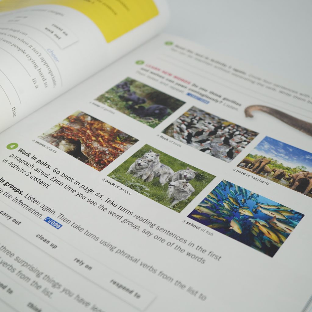 IMPACT BRE 4 STUDENT BOOK + MYELT ACCESS CODE – Thiên Long Shop