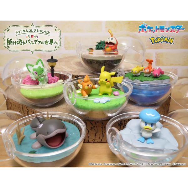 Pokemon Terrarium Collection EX Explore the Paldea Region – nShop ...