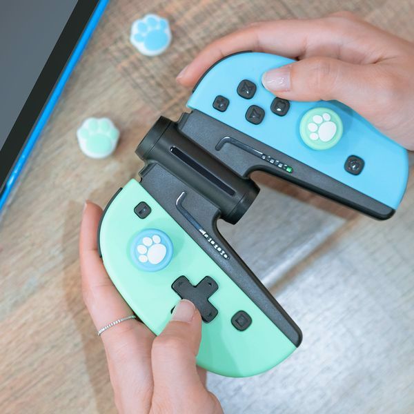 Joy-con IINE cho Nintendo Switch Animal Crossing giá rẻ HCM – nShop ...