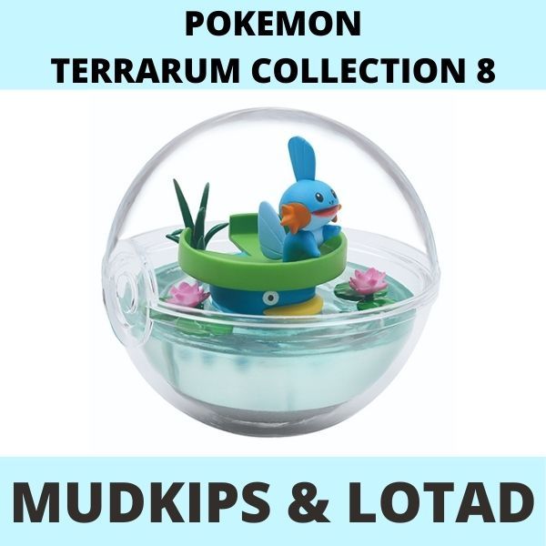 Mô hình đồ chơi Pokemon Terrarium Collection 8 chính hãng – nShop ...