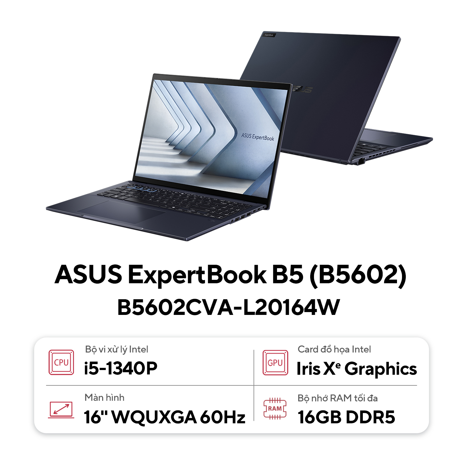Laptop ASUS ExpertBook B5 B5602CVA-L20164W