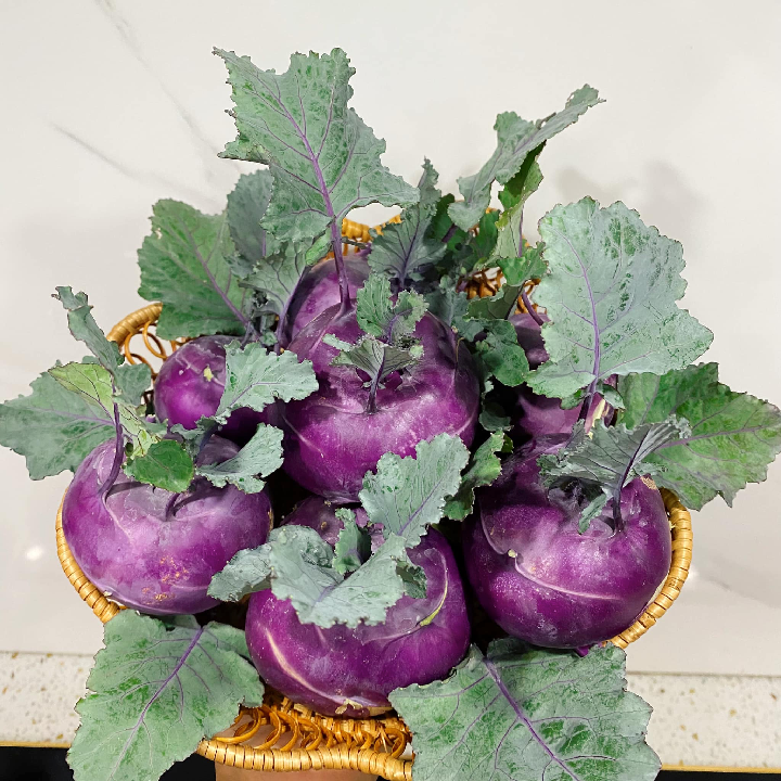 HẠT GIỐNG SU HÀO TÍM NHẬT BẢN – hfseeds