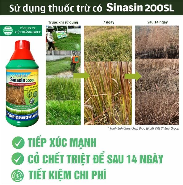 Thuốc trừ cỏ SINASIN 200SL | Lưu dẫn mạnh, diệt tận gốc rễ - Chai 900m ...