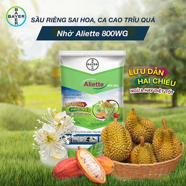 THUỐC TRỪ BỆNH ALIETTE 800WG | LƯU DẪN 2 CHIỀU - TRỊ THỐI GỐC, THỐI RỄ ...